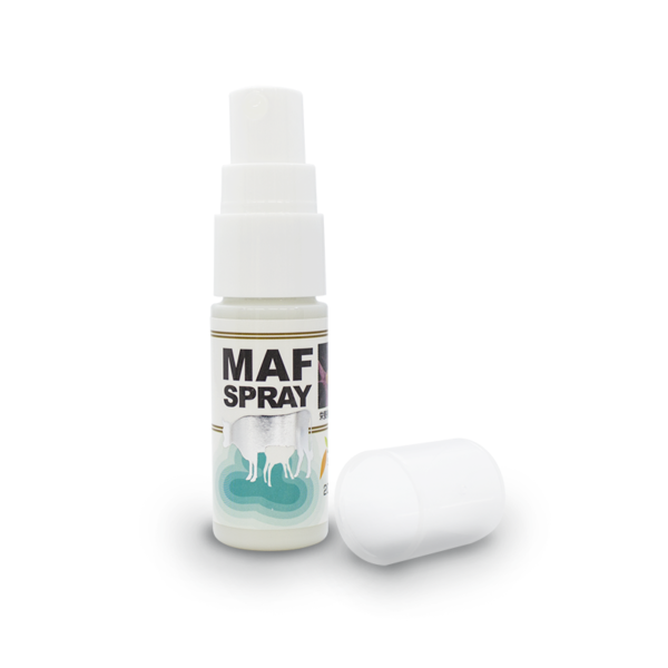 800_MAF-Spray_front_cap | Saisei Australia