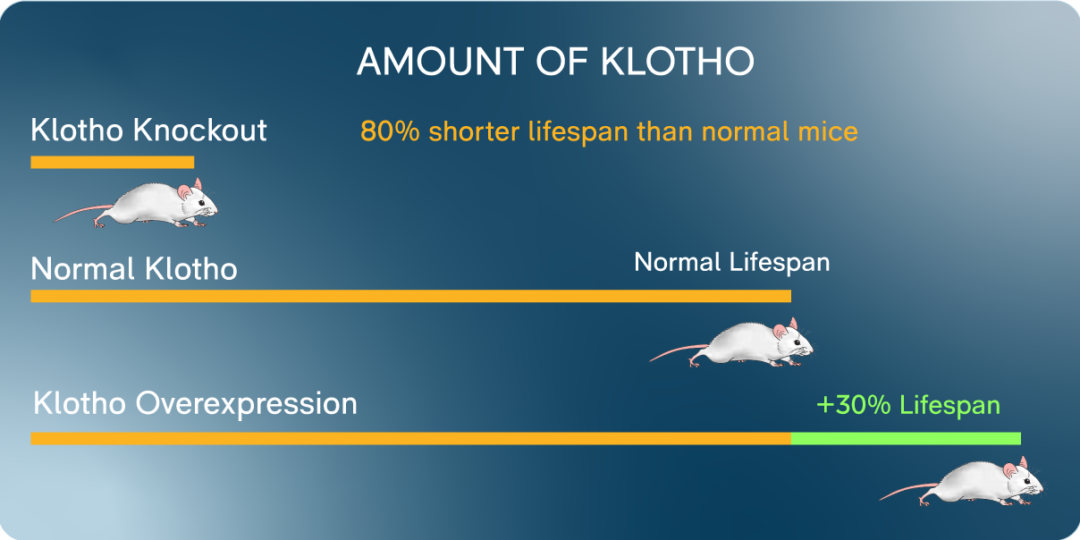 Brain-Activation.pdf-image-008.png | Saisei Australia